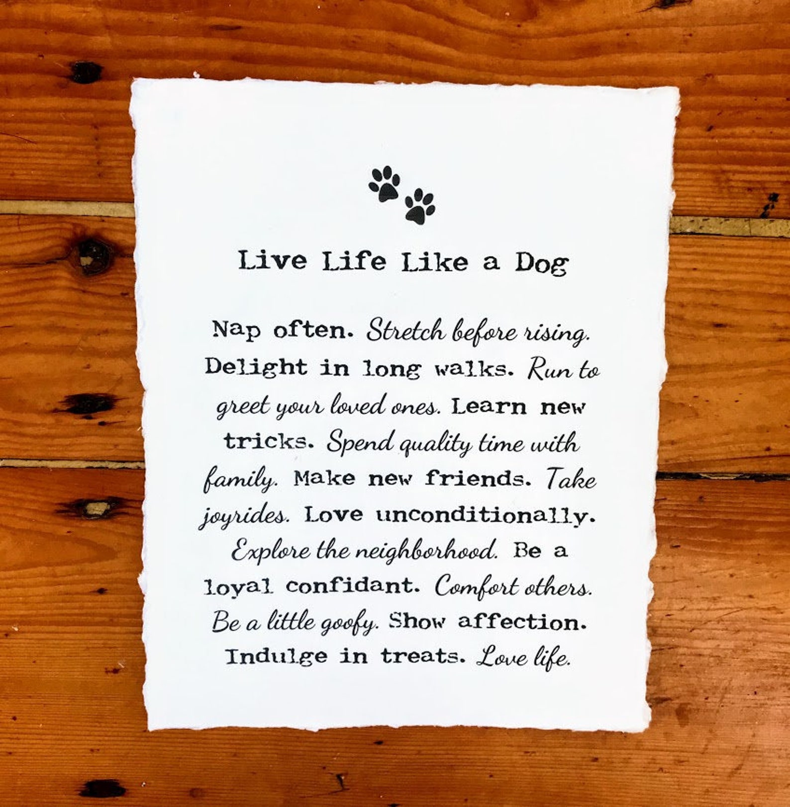 Live Life Like a Dog print in typewriter and script font on | Etsy