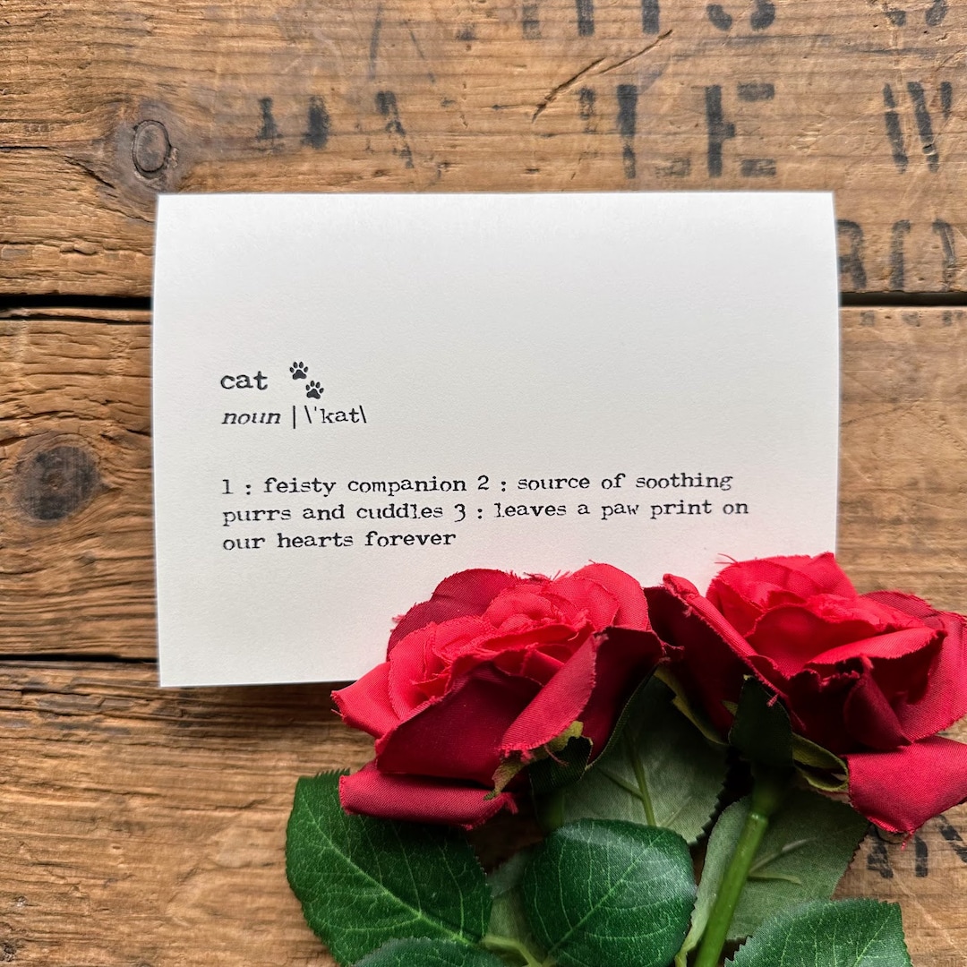 Cat Definition Greeting Card in Typewriter Font With Envelope and ...