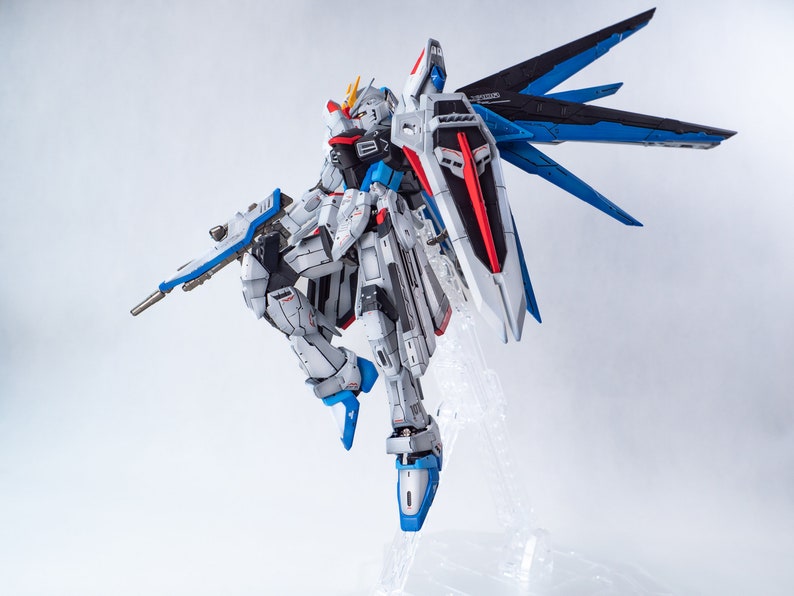 Painted Bandai RG 1/144 freedom Gundam Ver.gcp - Etsy