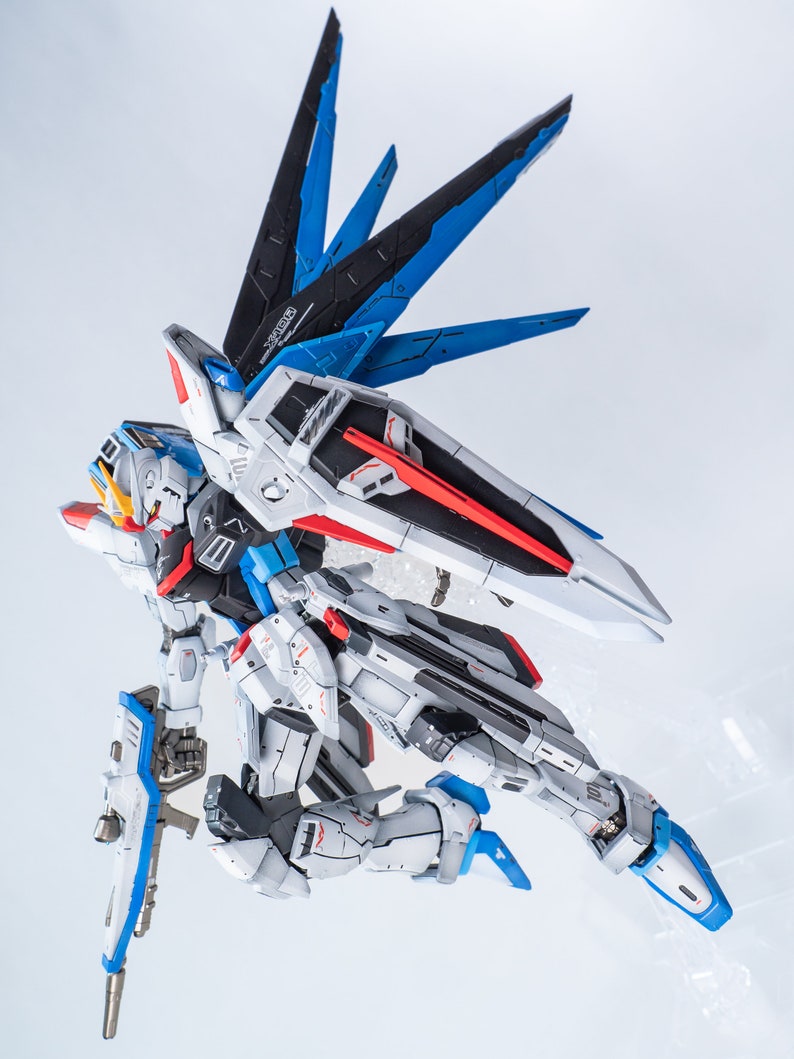 Painted Bandai RG 1/144 freedom Gundam Ver.gcp - Etsy