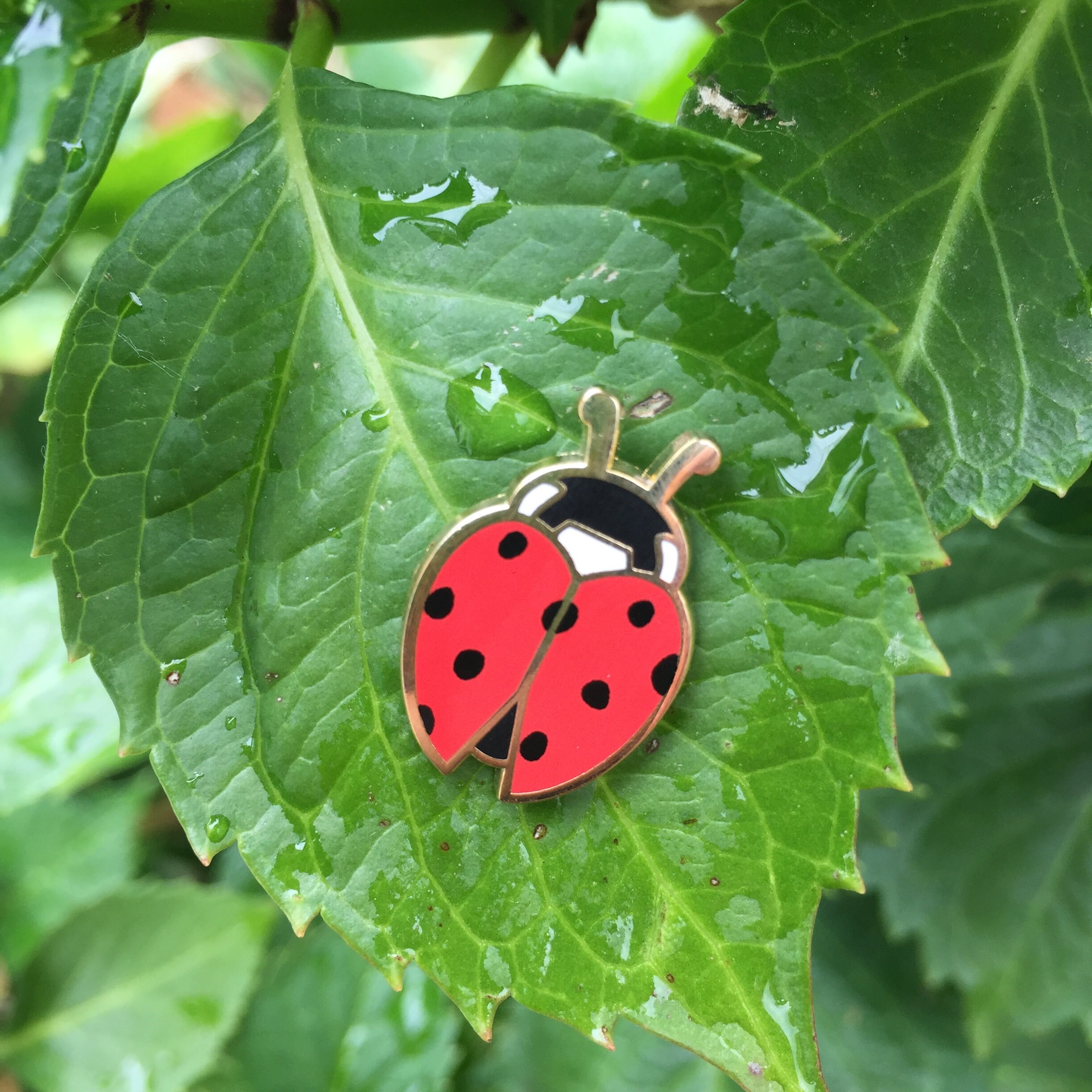 Tiny Ladybug Enamel Pin // Hard Enamel Pin Insect Pin Animal - Etsy