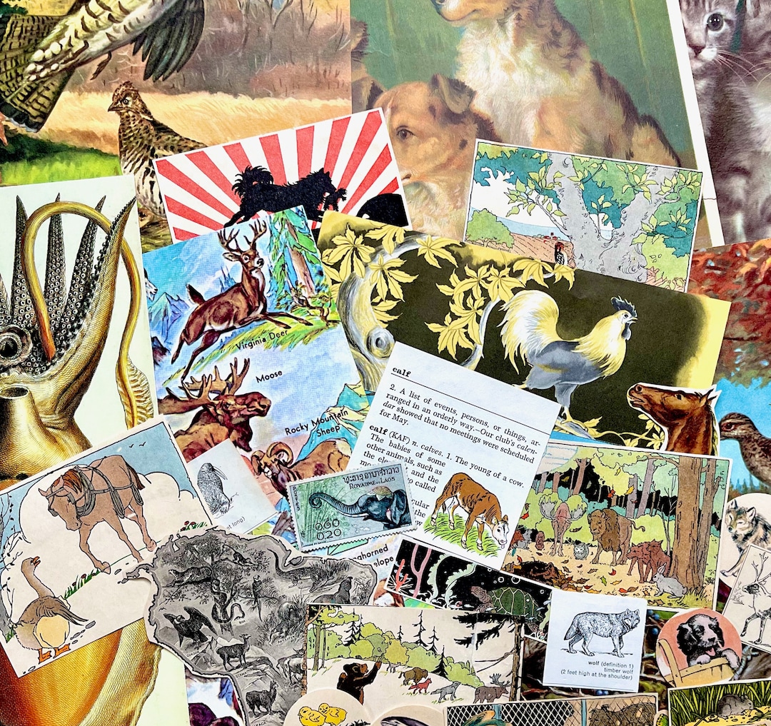 Vintage Animal Ephemera /35 Variety Paper Pack/pet/bird/dog Scrapbook ...