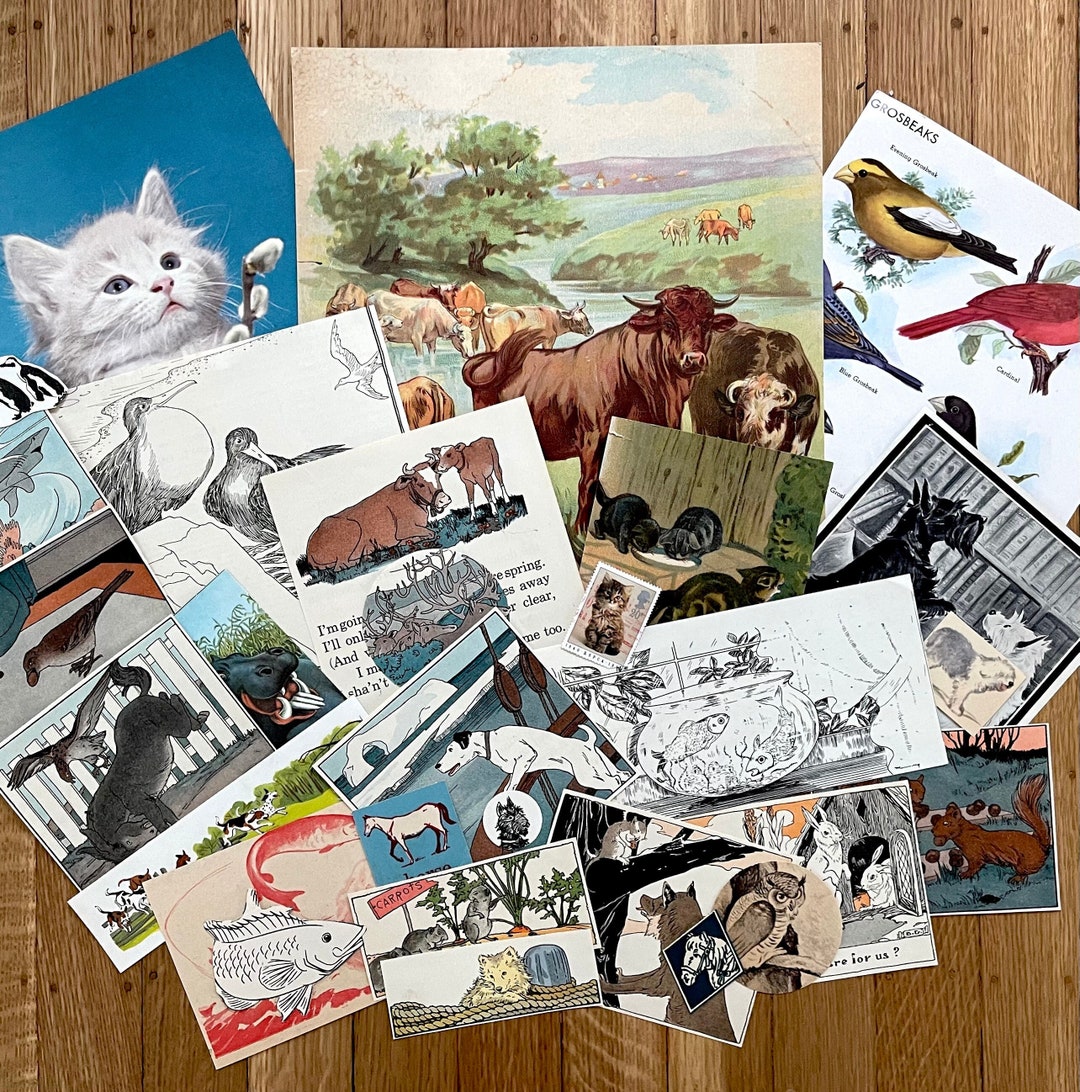 Vintage Animal Ephemera /35 Variety Paper Pack/pet/bird/dog Scrapbook ...