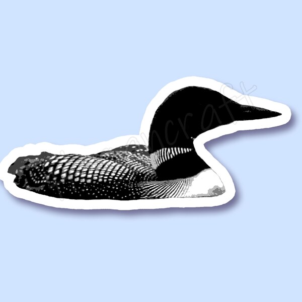 Common Loon - Etsy