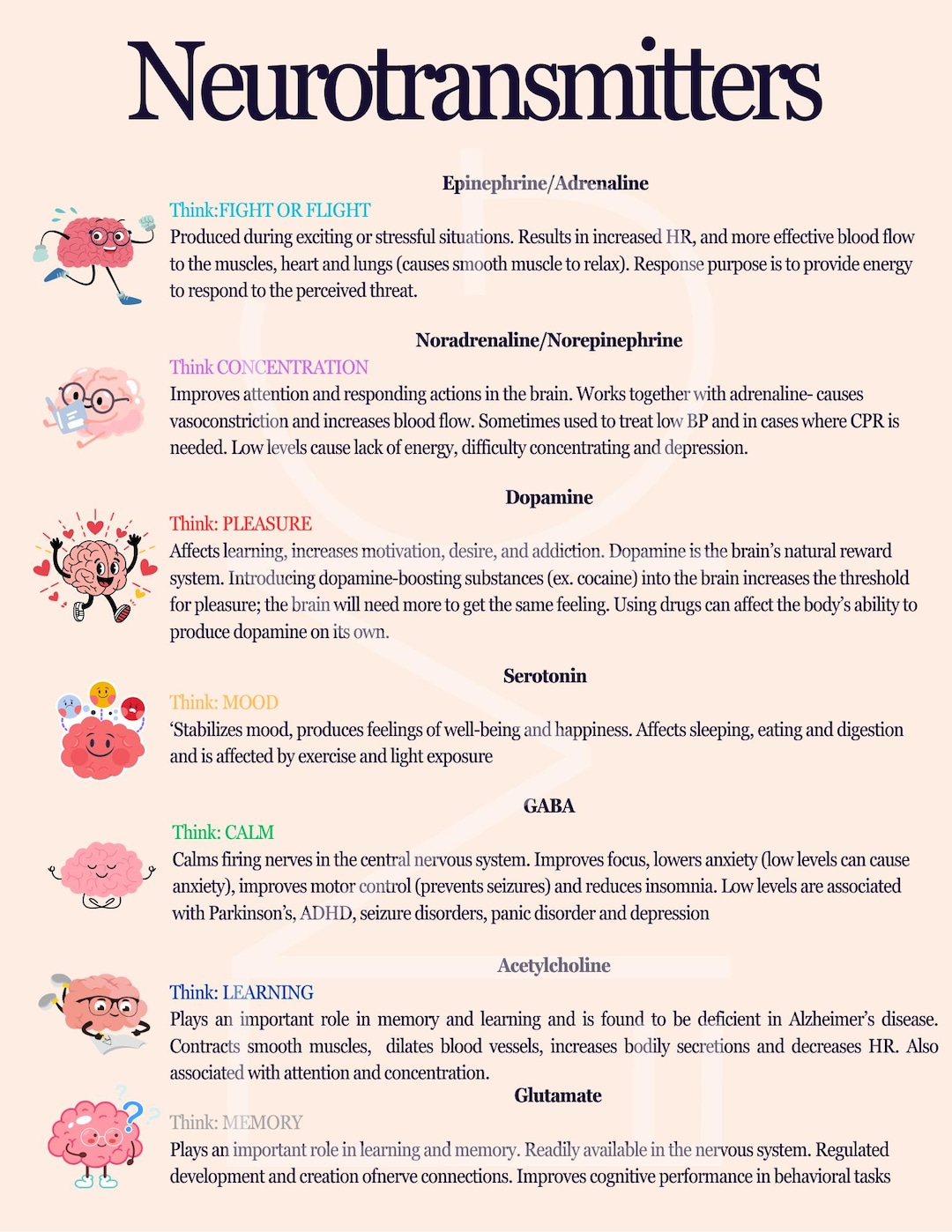 Neurotransmitter Study Sheet – Nursing, PMHNP, Med Students - Etsy