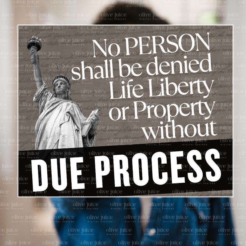 Due Process Protest Signs - Etsy