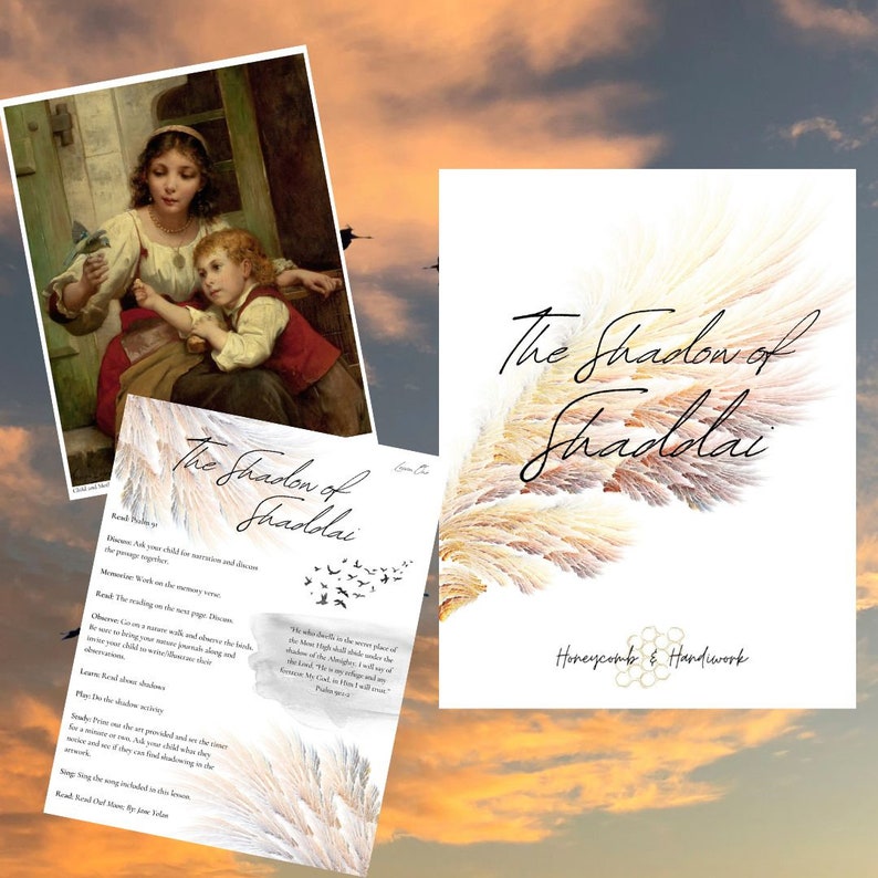 Charlotte Mason Inspired Homeschool Curriculum, Bird Nature Study ...