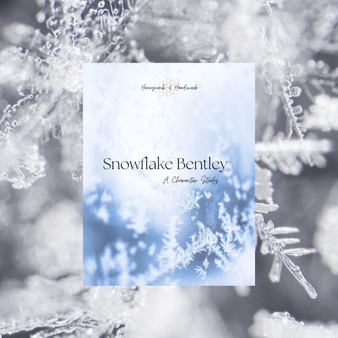 Snowflake Bentley Study, Winter Unit Study, Snowflake Lesson, Character ...