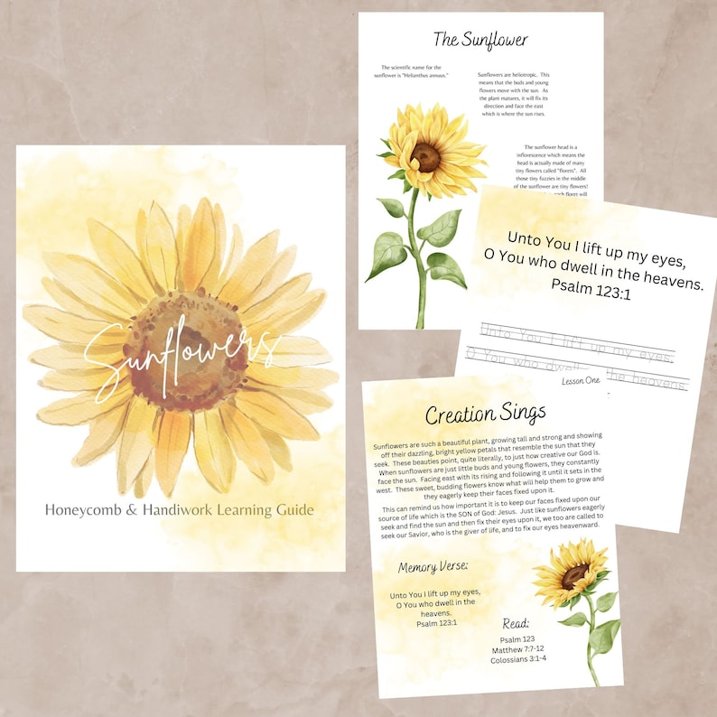 Sunflower Unit Study, Sunflower Crafts, Kids Nature Activity, Charlotte ...