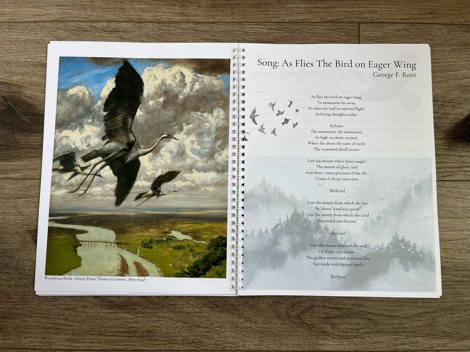 Charlotte Mason Inspired Homeschool Curriculum, Bird Nature Study ...