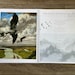 Charlotte Mason Inspired Homeschool Curriculum, Bird Nature Study ...