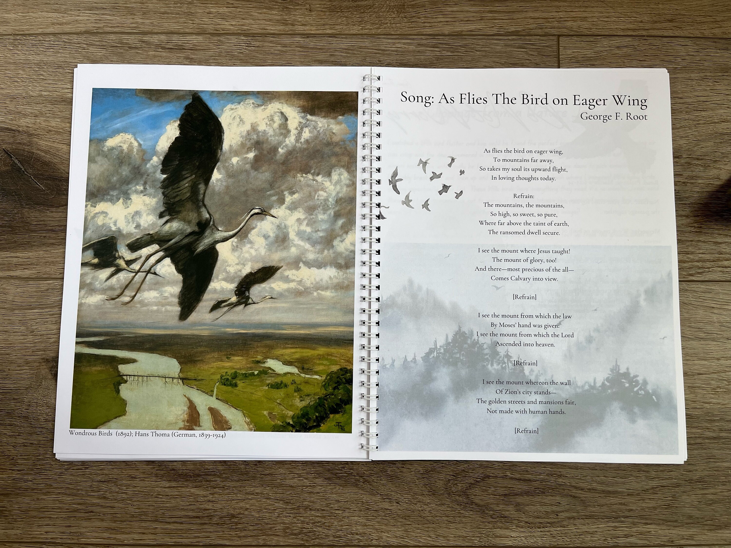 Charlotte Mason Inspired Homeschool Curriculum, Bird Nature Study ...