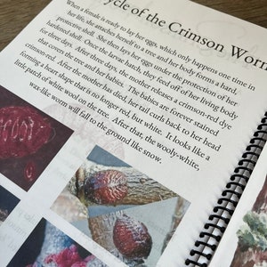 Crimson Worm Unit Study, Passover Lessons for Kids, Christian ...