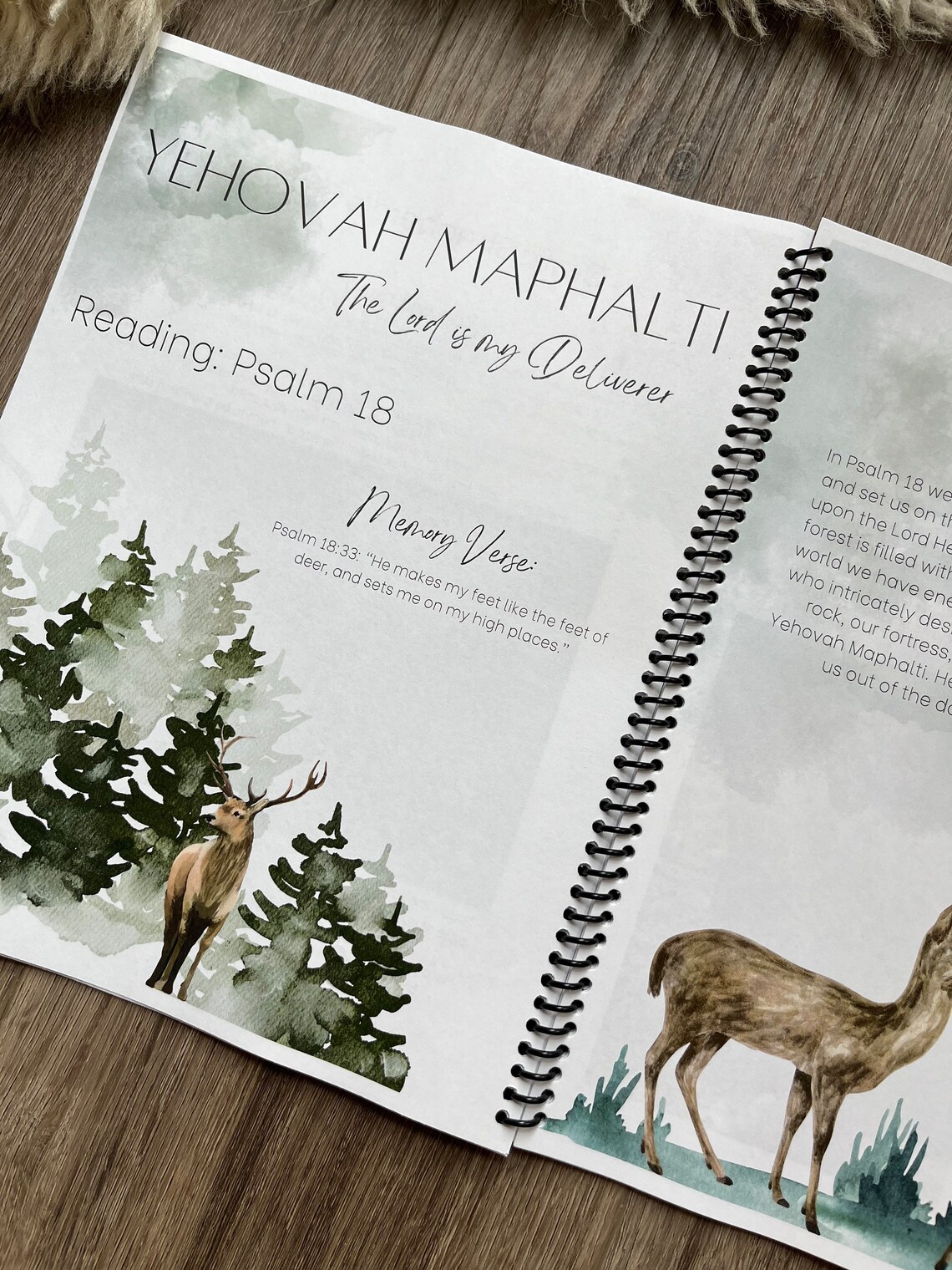 Forest Study, Homeschool Unit Study, Names of God Character of God ...