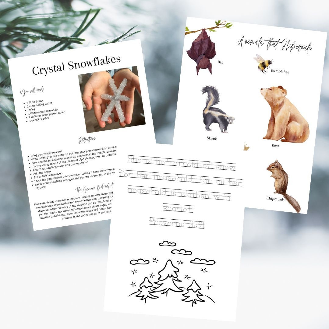 Winter Bundle! Winter Newsletter, Winter Unit Study, Winter Morning ...