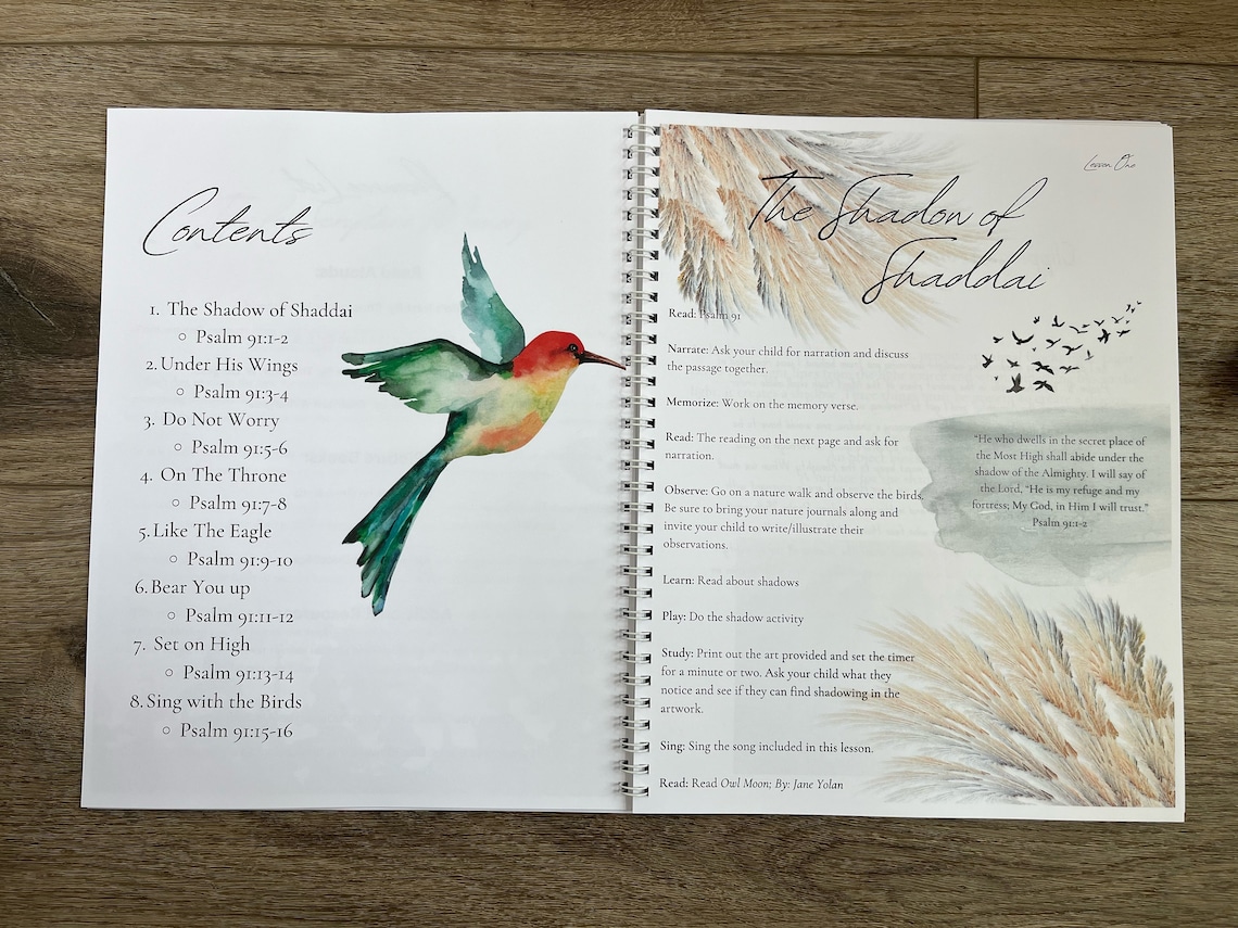 Charlotte Mason Inspired Homeschool Curriculum, Bird Nature Study ...