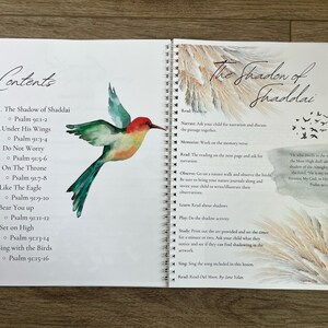Charlotte Mason Inspired Homeschool Curriculum, Bird Nature Study ...