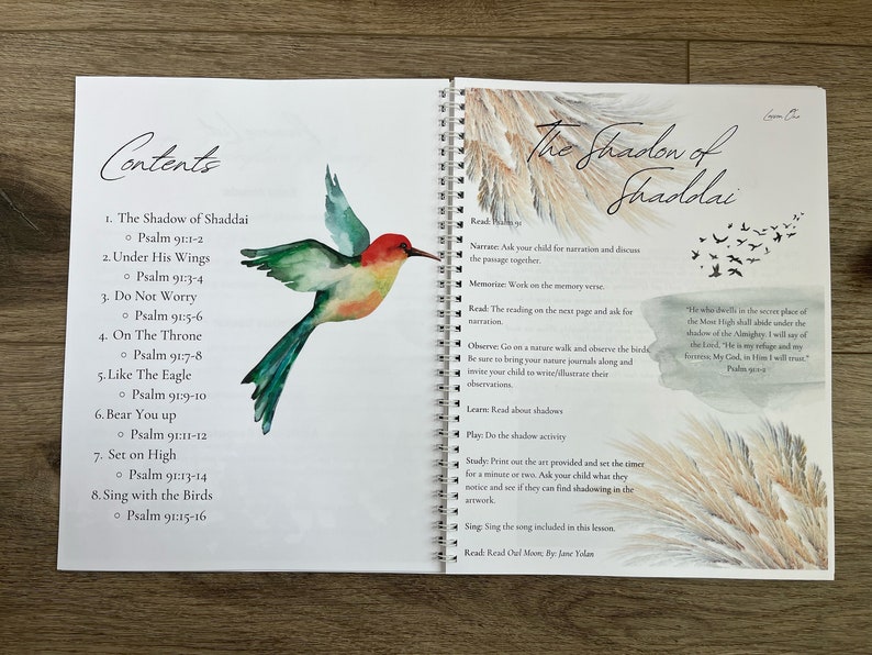 Charlotte Mason Inspired Homeschool Curriculum, Bird Nature Study ...