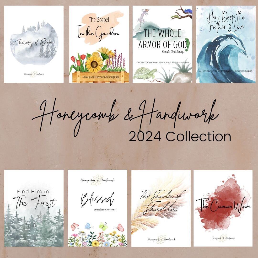 Nature Study Bundle: Garden, Winter, Reptile, Ocean, Forest! Biblically ...