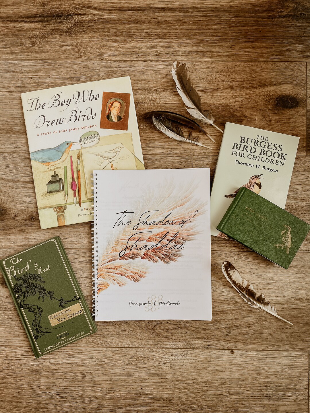 Charlotte Mason Inspired Homeschool Curriculum, Bird Nature Study ...