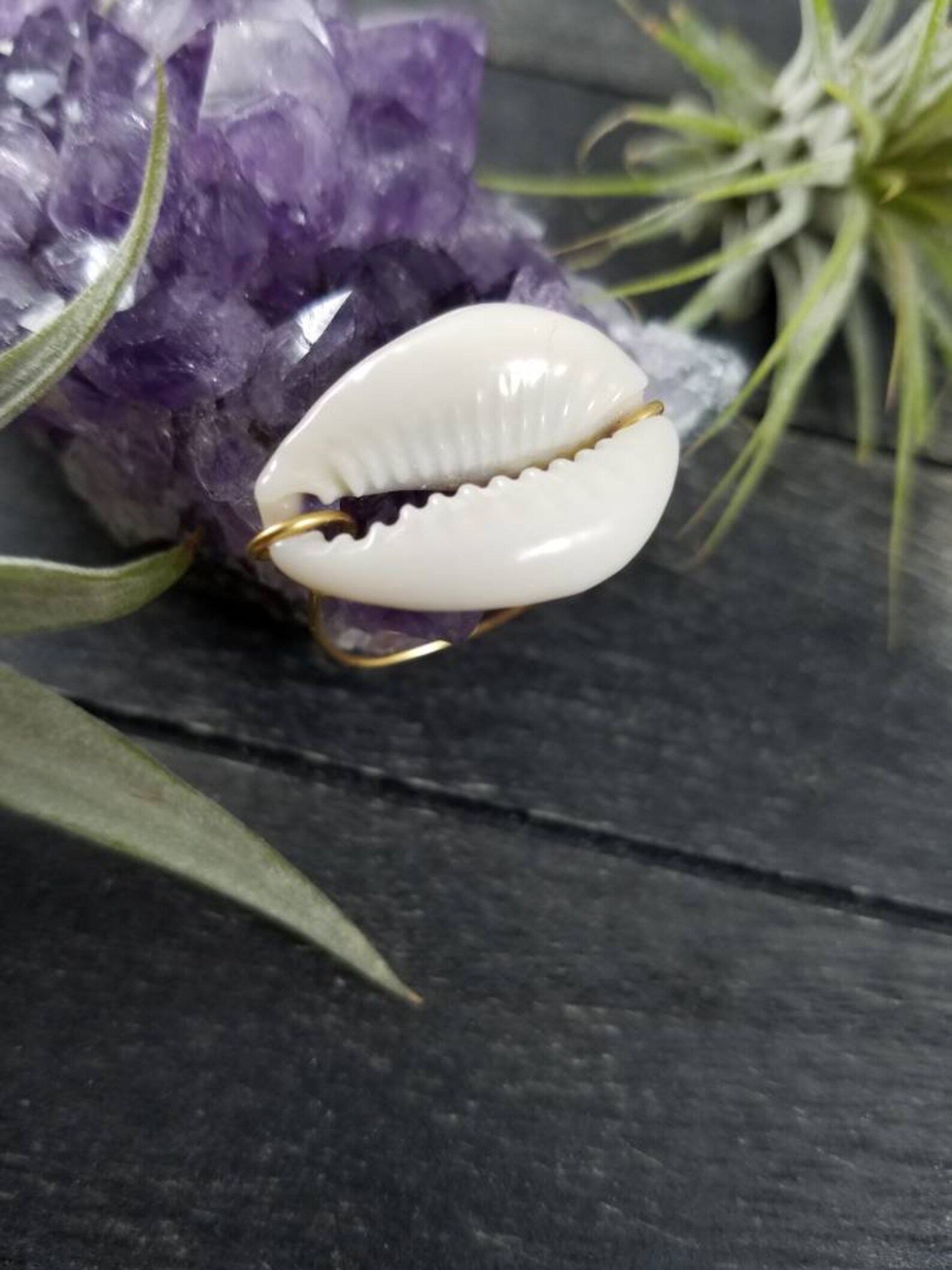 Cowrie Shell Ring - Seashell Jewelry, Cowrie Shell Jewelry, Seashell ...