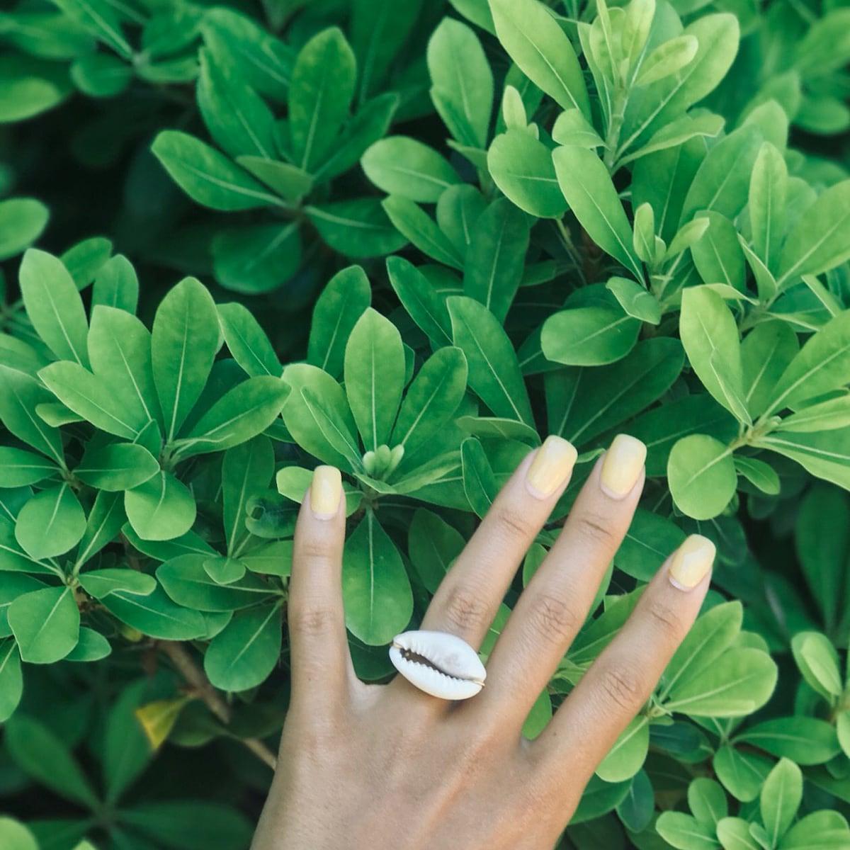 Cowrie Shell Ring • Handmade Shell Ring • Seashell Ring • Unisex Ring ...
