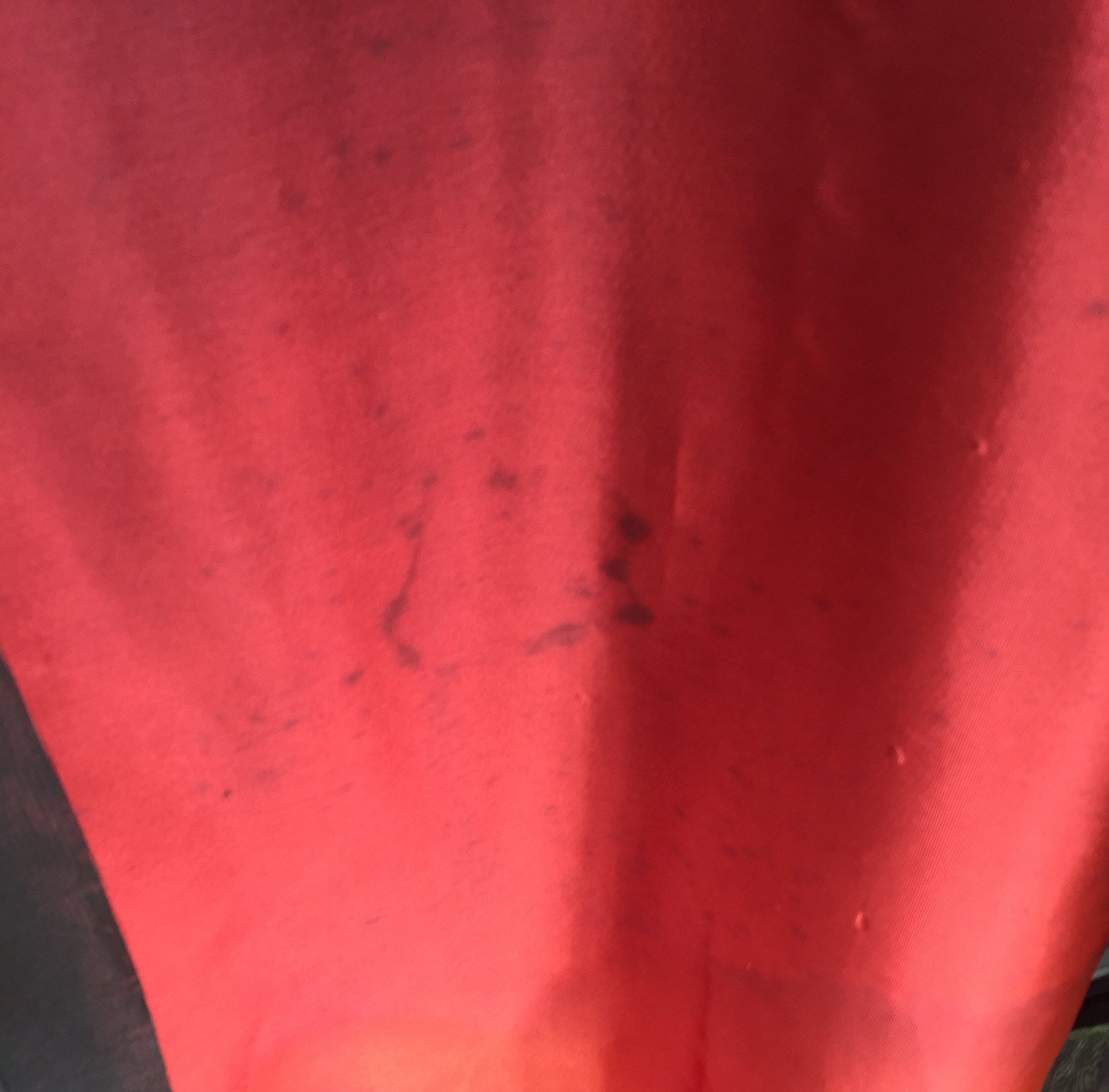 Gothic Glamour Avalon Sheer Black Overlay Evening Dress With Red Lining ...