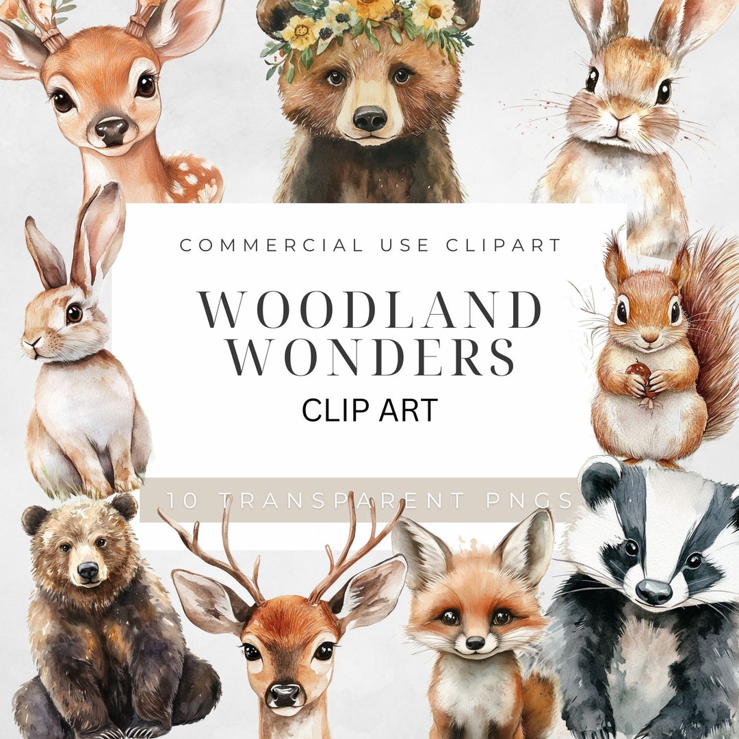 Woodland Wonders, Clip Art, Commercial Use, Graphics, Deer, Fox, Bear ...