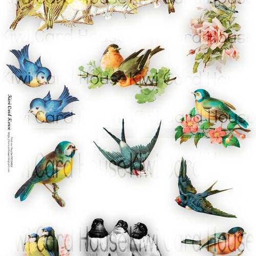 Birds Collage Sheet Digital Scrapbooking Vintage Scrapbook - Etsy