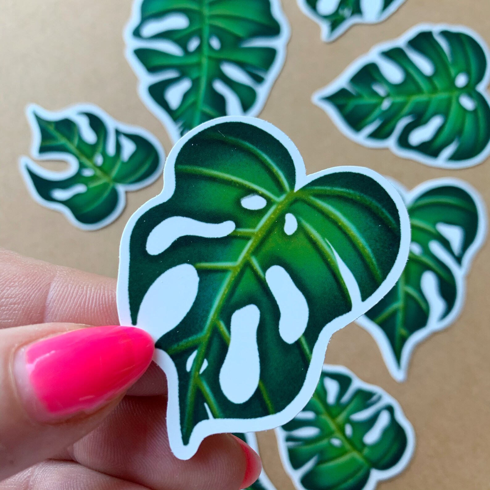 Monstera sticker pack monstera sticker set of 9 plant | Etsy