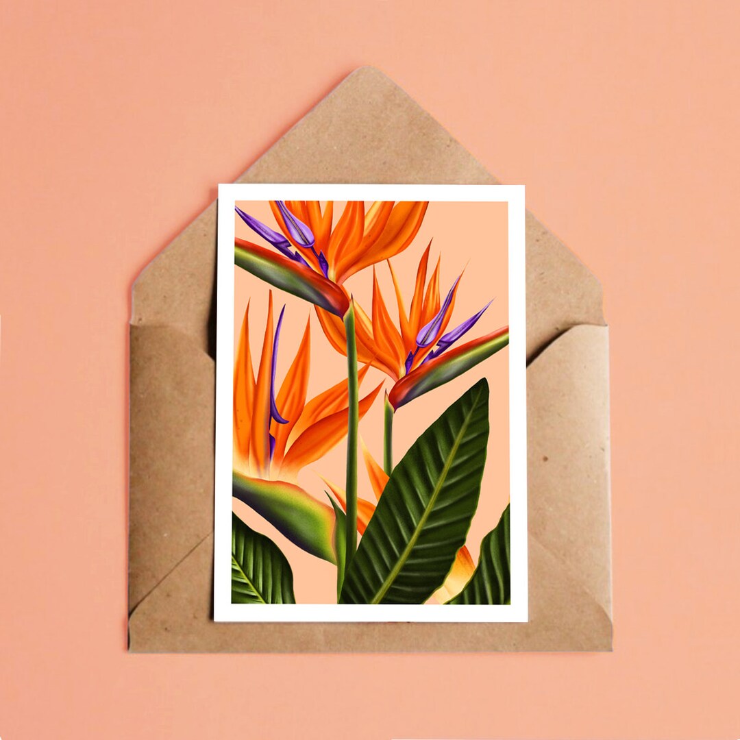 A6 Mini Print Complete Strelitzie Strelitzia Flower Illustration ...