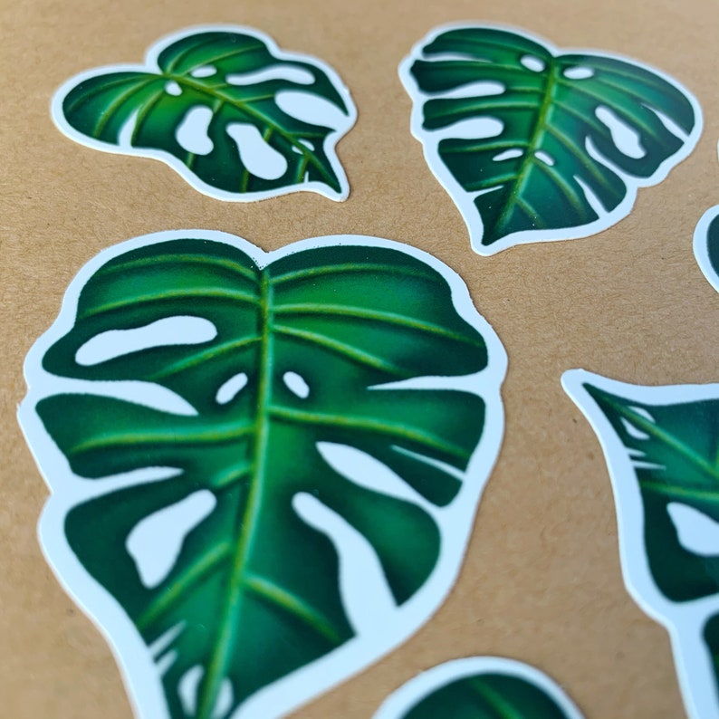 Monstera sticker pack monstera sticker set of 9 plant | Etsy