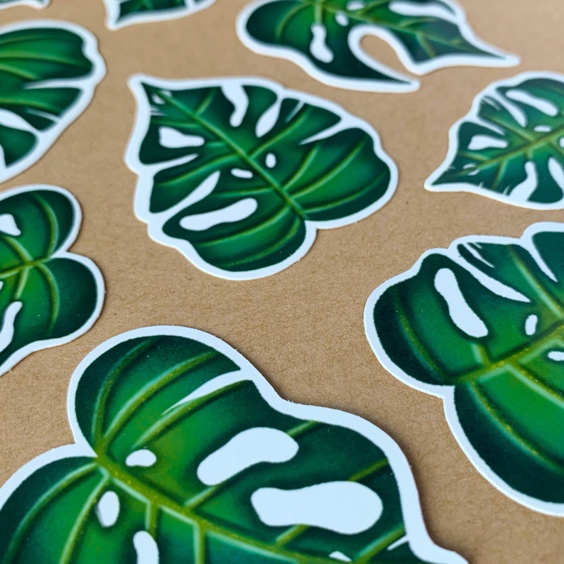 Monstera sticker pack monstera sticker set of 9 plant | Etsy