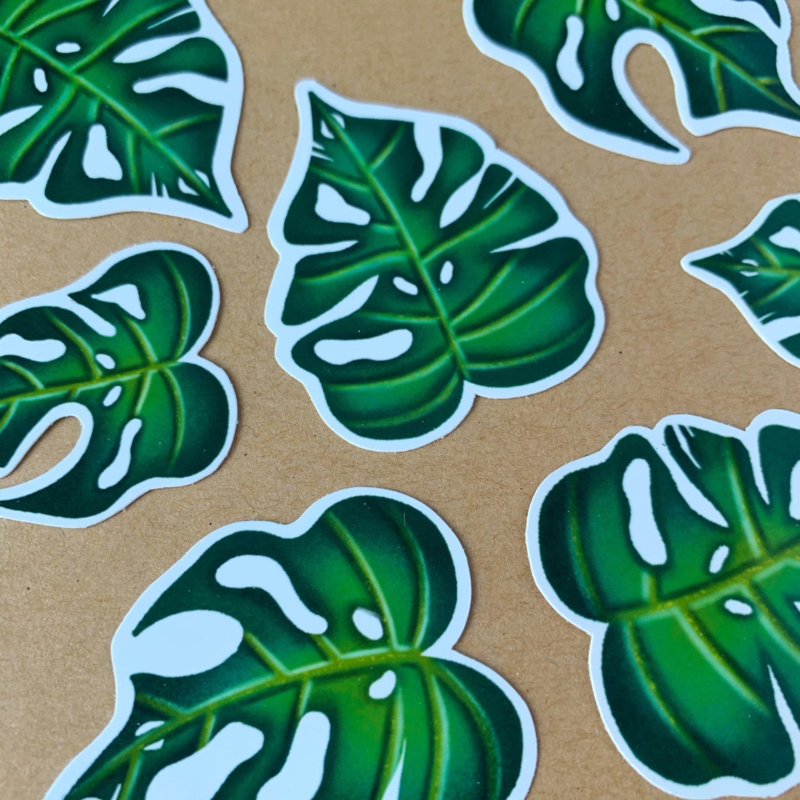 Monstera sticker pack monstera sticker set of 9 plant | Etsy