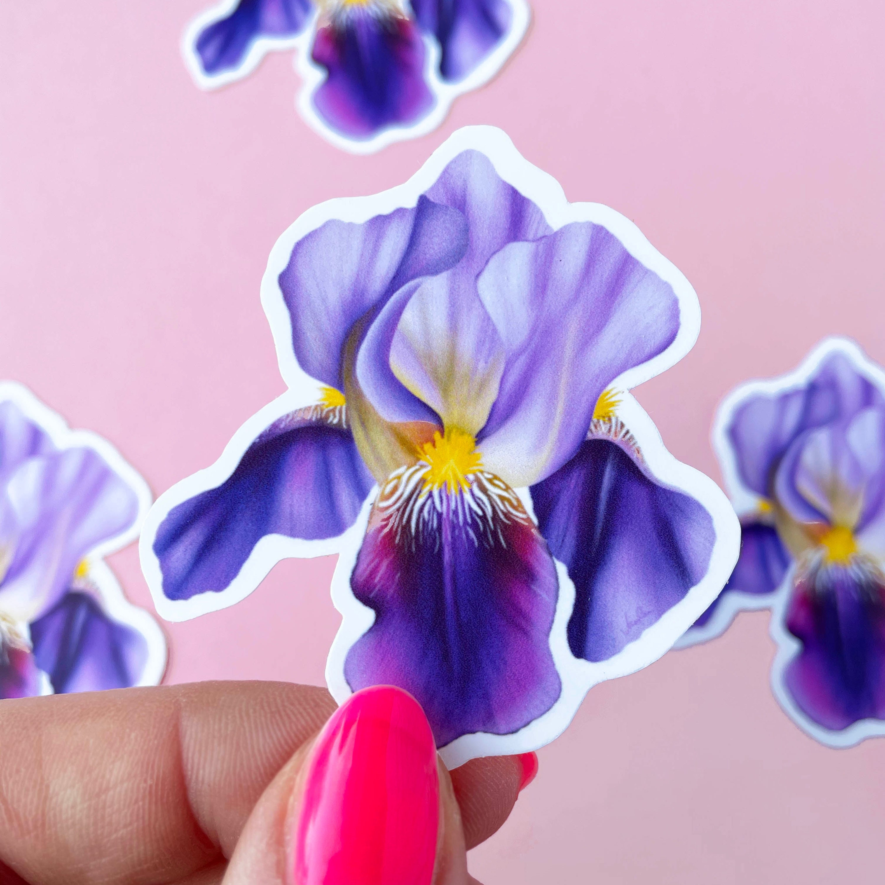 Iris Sticker Single Sticker Flower Sticker Spring Vibes - Etsy