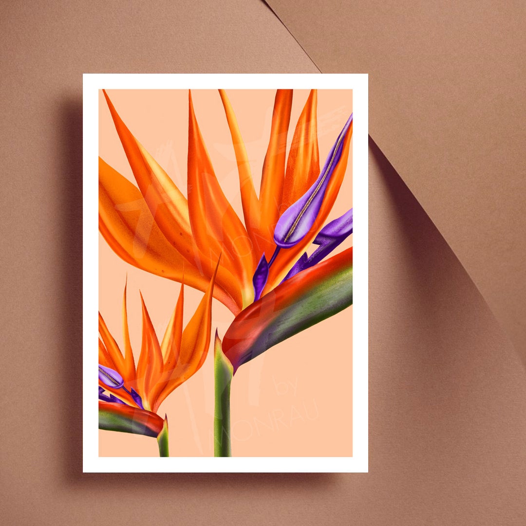 A5 Flower Art Print Pure Birds of Paradise Illustration Strelitzie ...