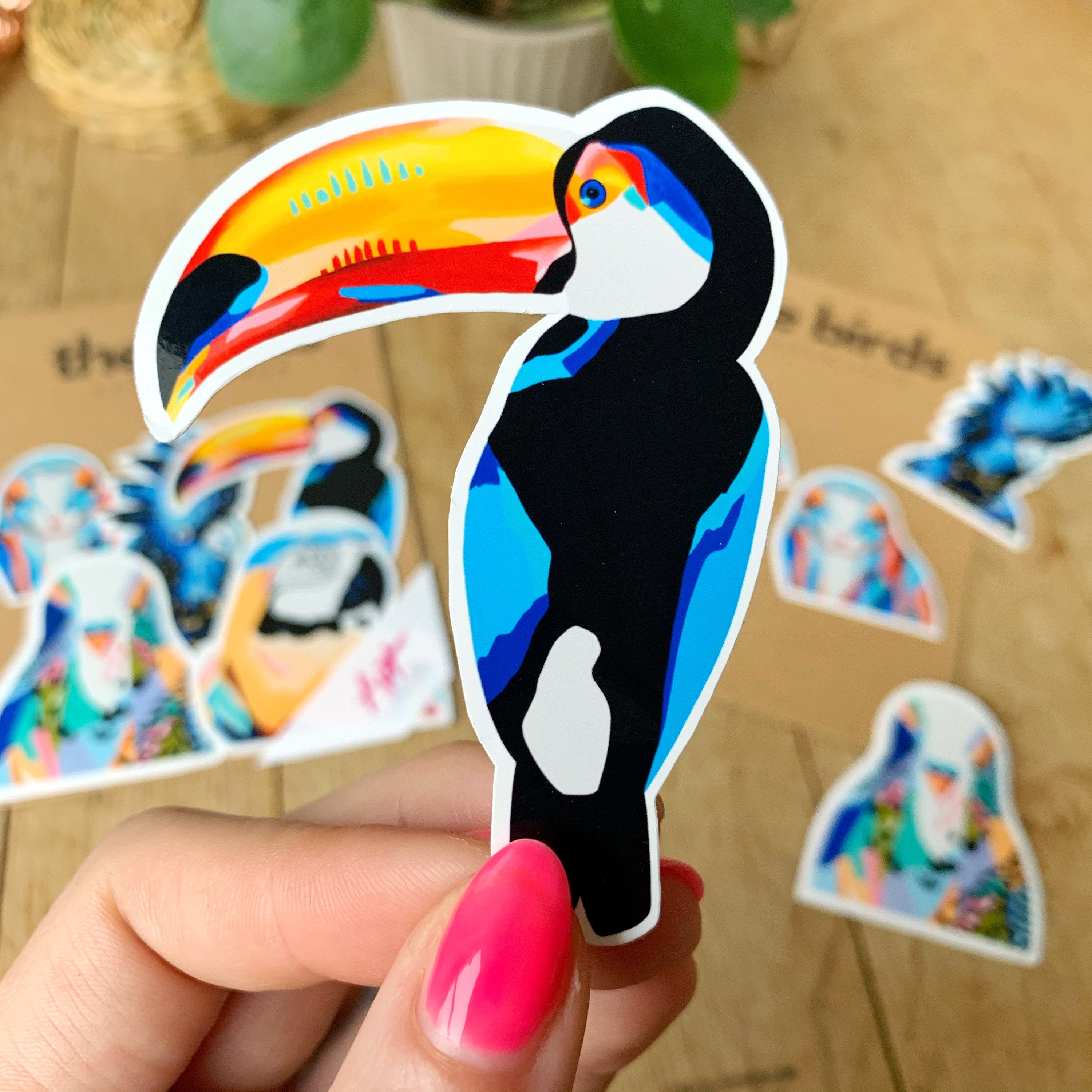 The Birds Sticker Pack Set of 5 Bird Stickers Bird - Etsy