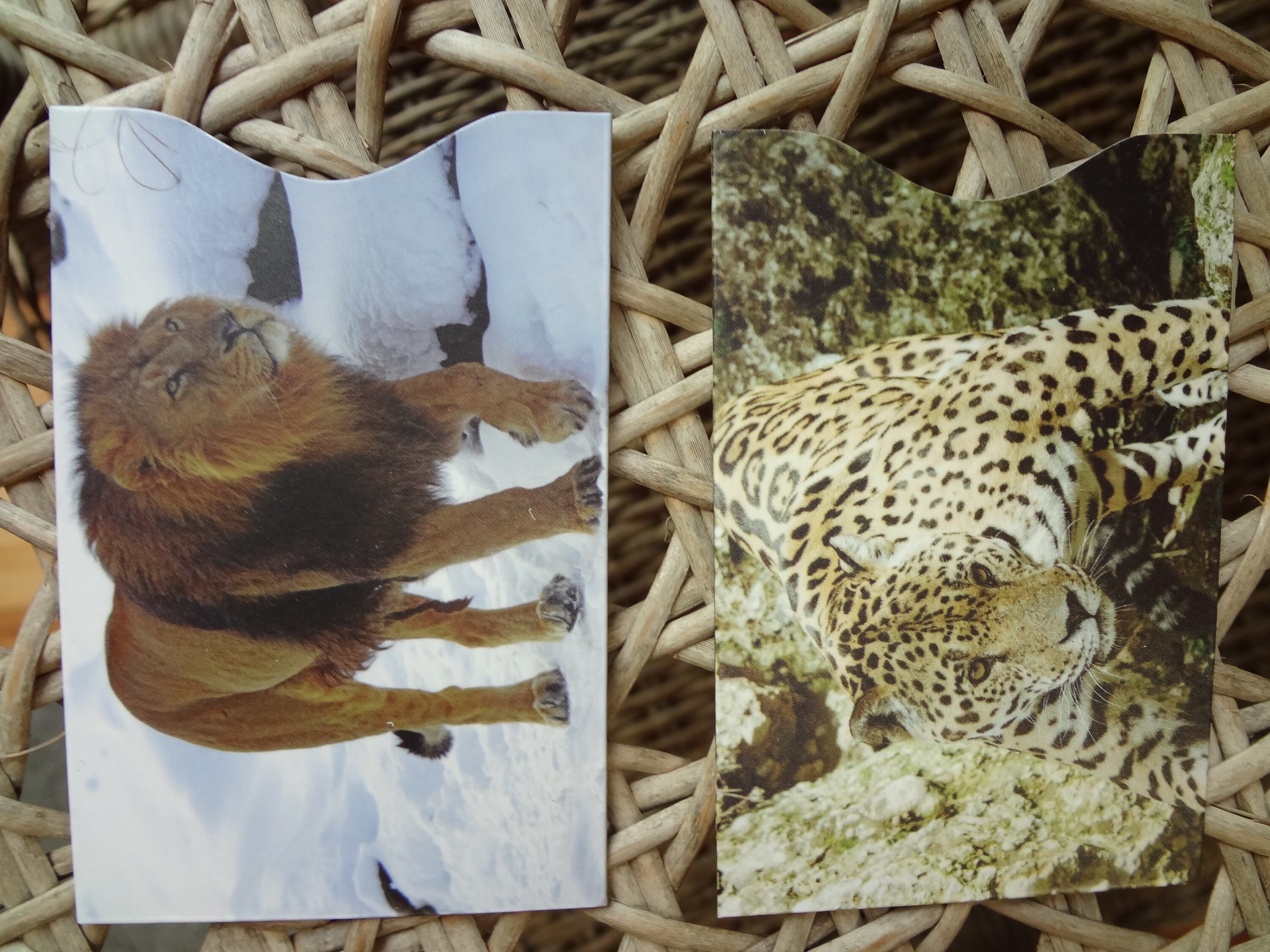 2 Animal Guardian RFID Anti Identity Theft Credit Card Protector ...