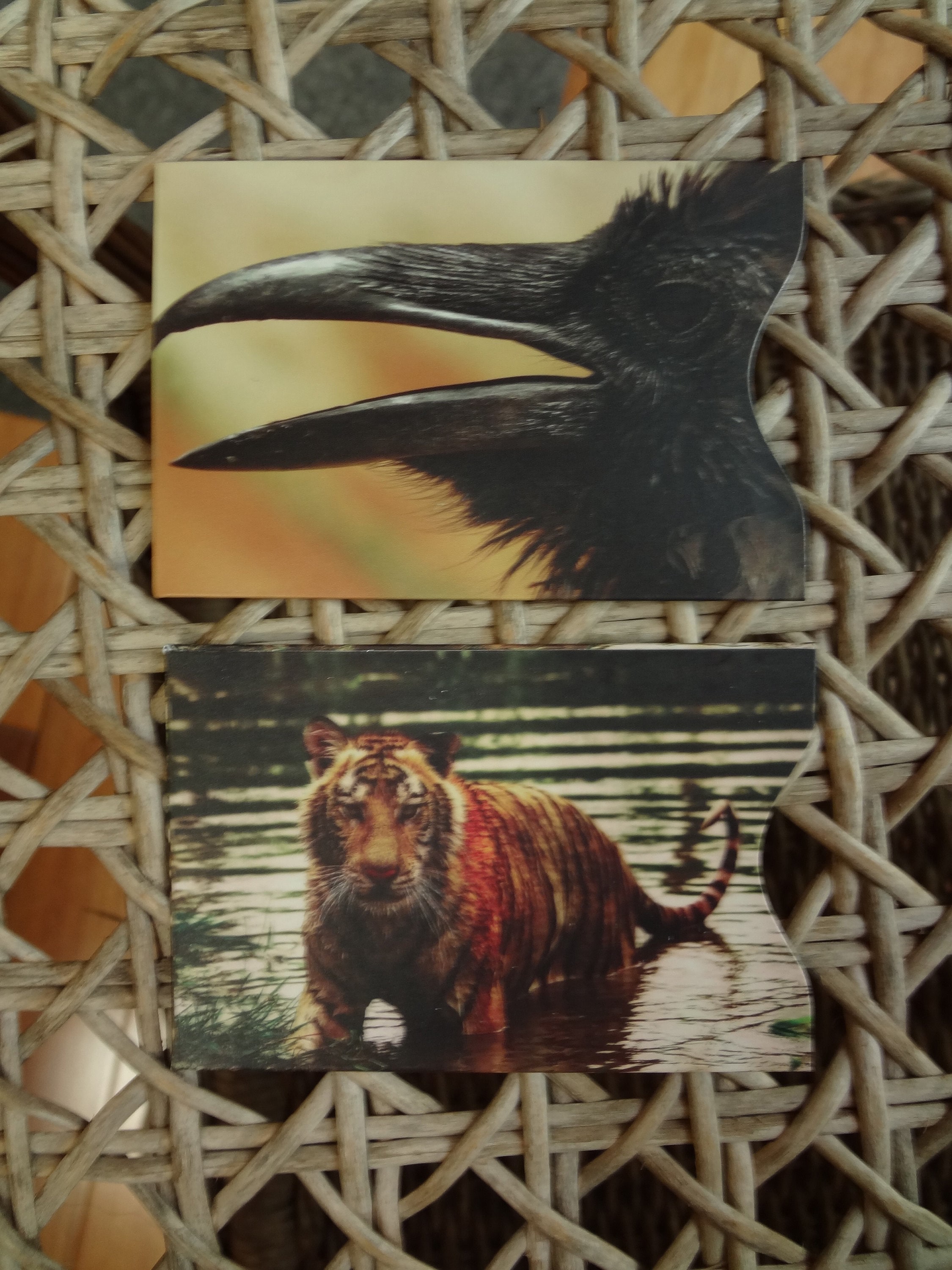 2- Animal Guardian RFID Anti Identity Theft Credit Card Protector ...