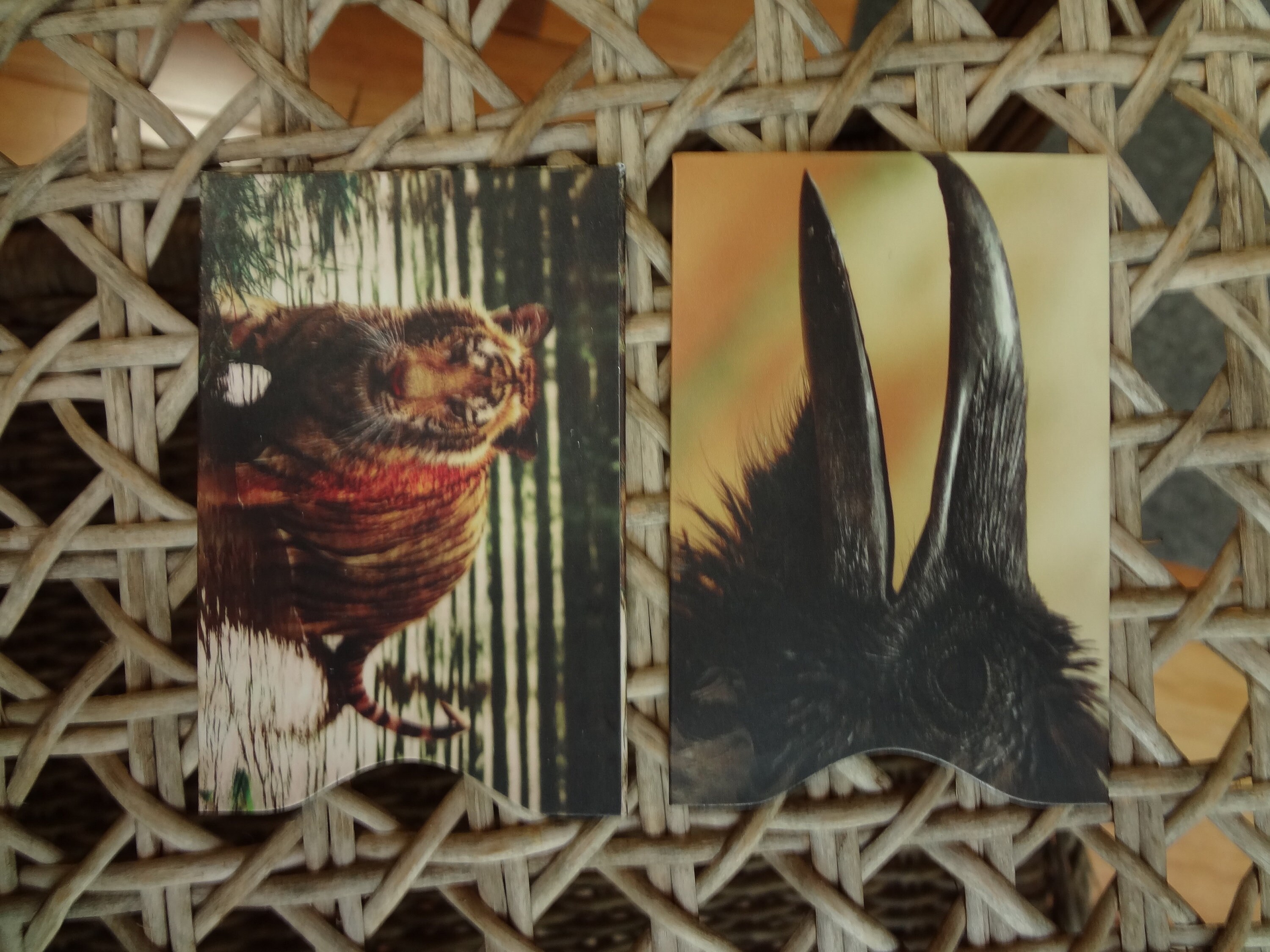 2- Animal Guardian RFID Anti Identity Theft Credit Card Protector ...