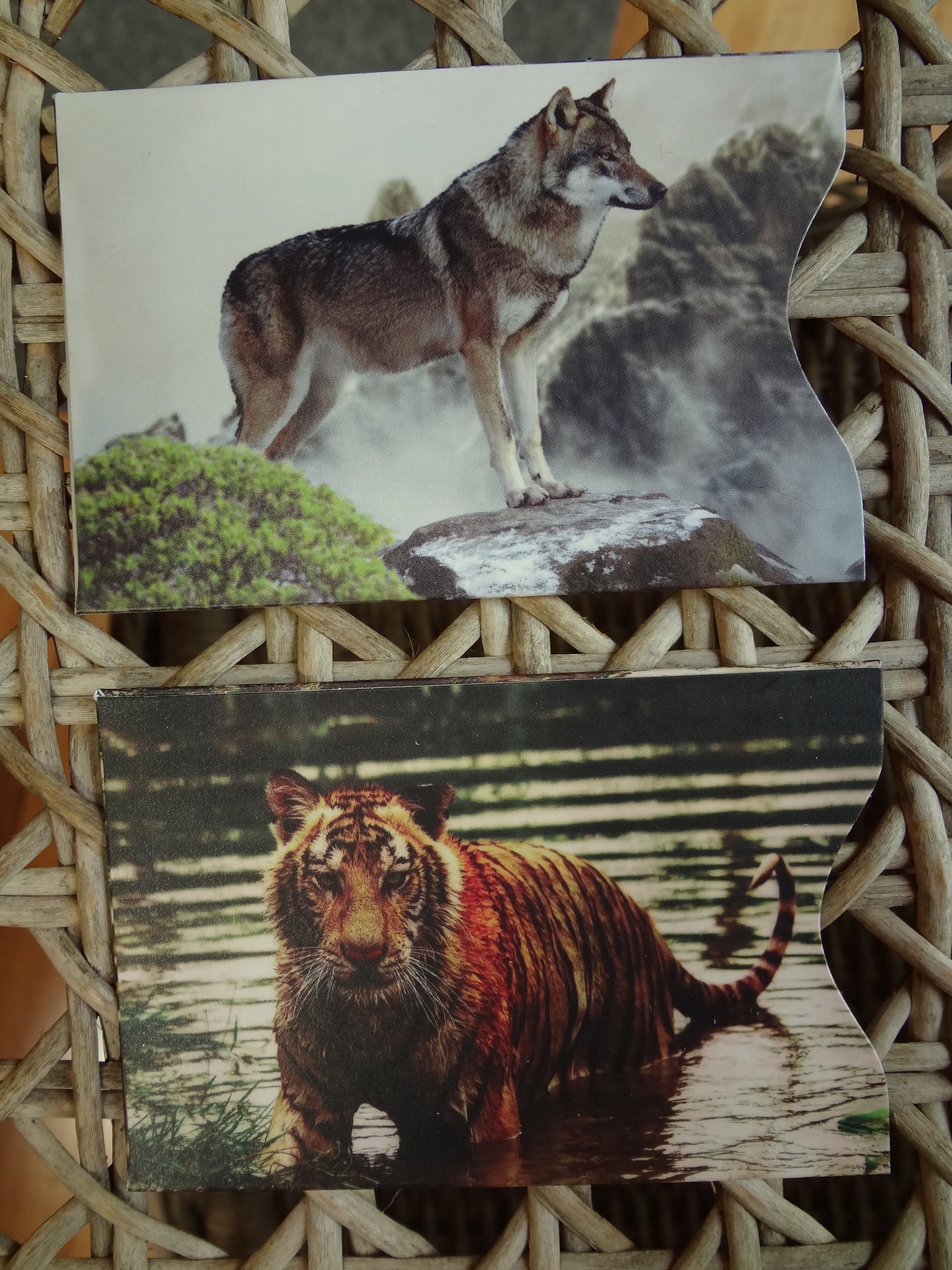 2- Animal Guardian RFID Anti Identity Theft Credit Card Protector ...