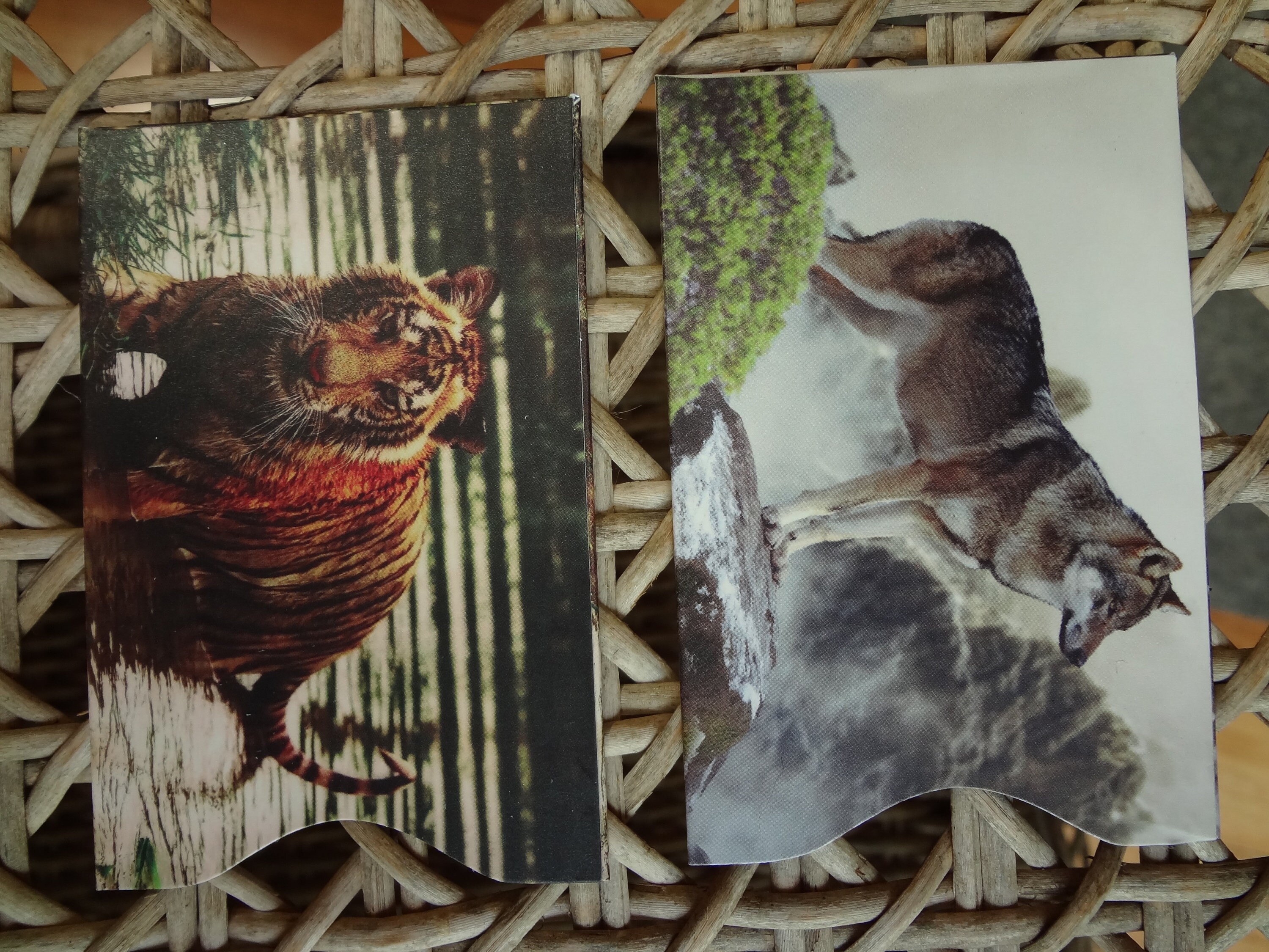 2- Animal Guardian RFID Anti Identity Theft Credit Card Protector ...