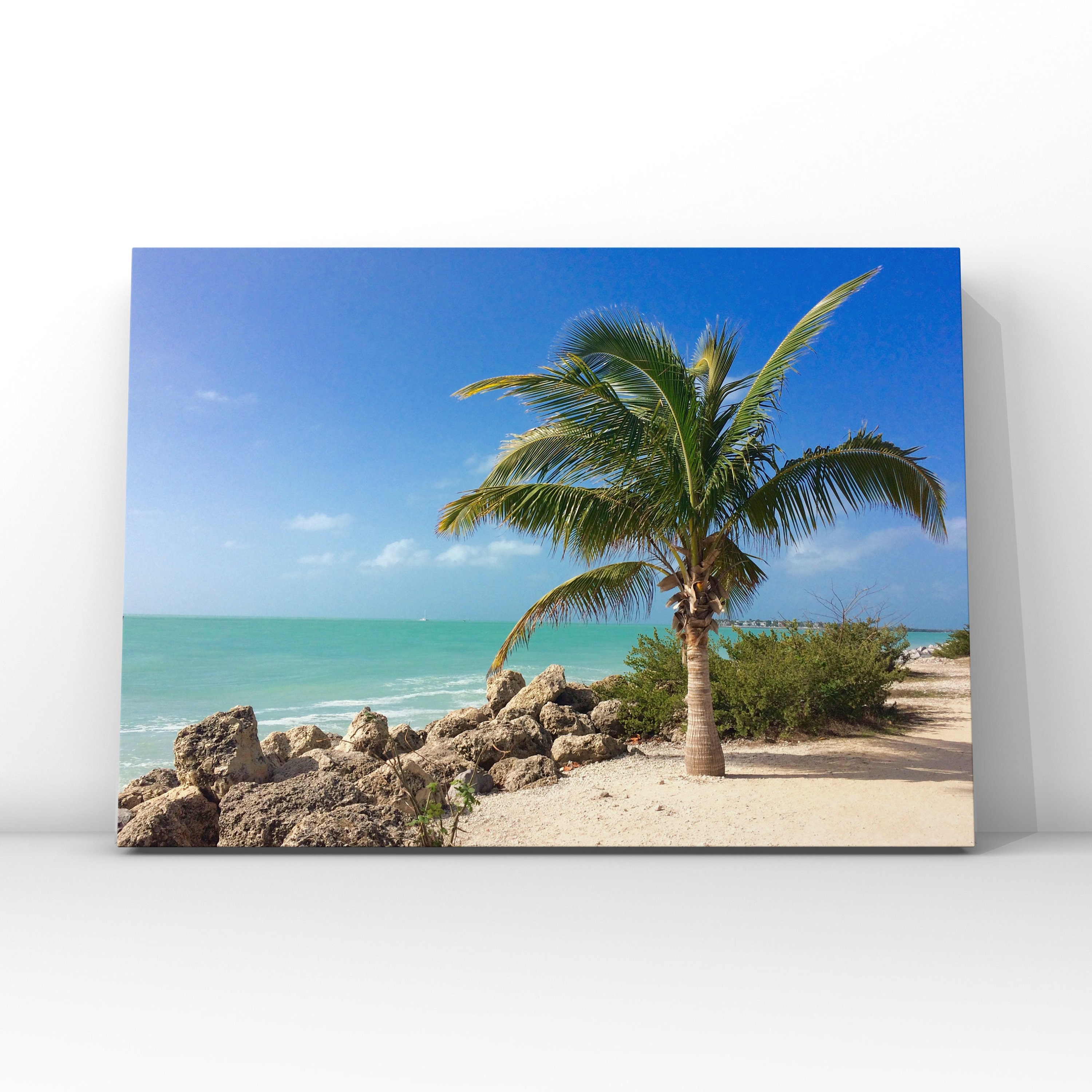 Printable Florida State Tree