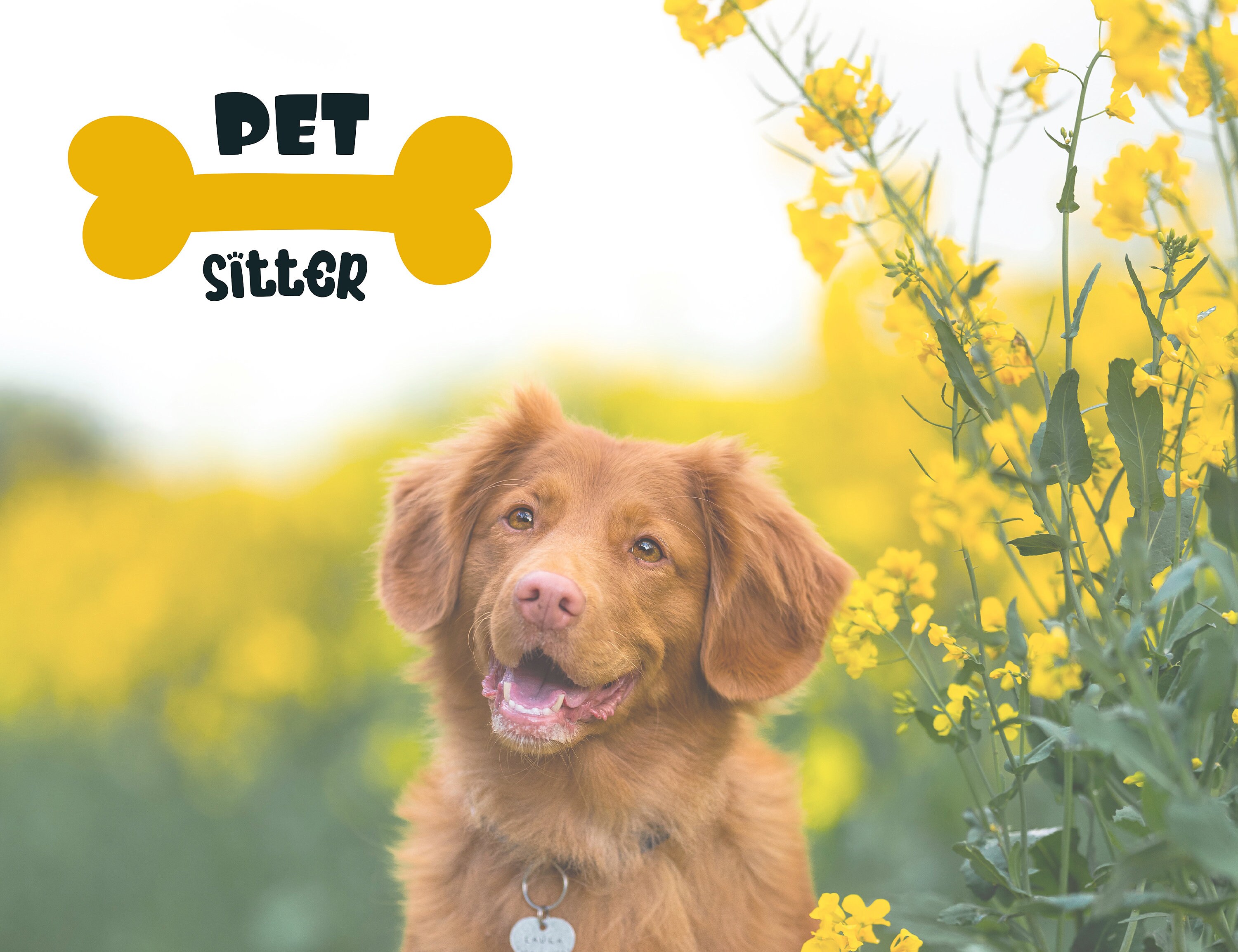 Editable Logo Design - Pet Sitting Logo - Pet Logo Design - Pet Care ...