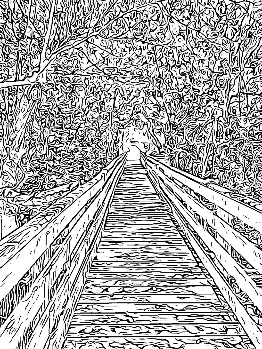 Wooded Path Coloring Page - Etsy