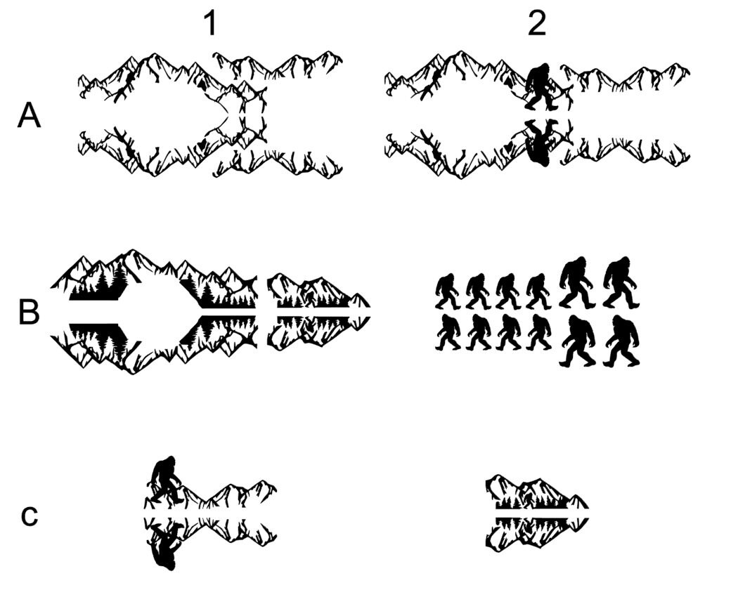 Shop — Bwb Creation