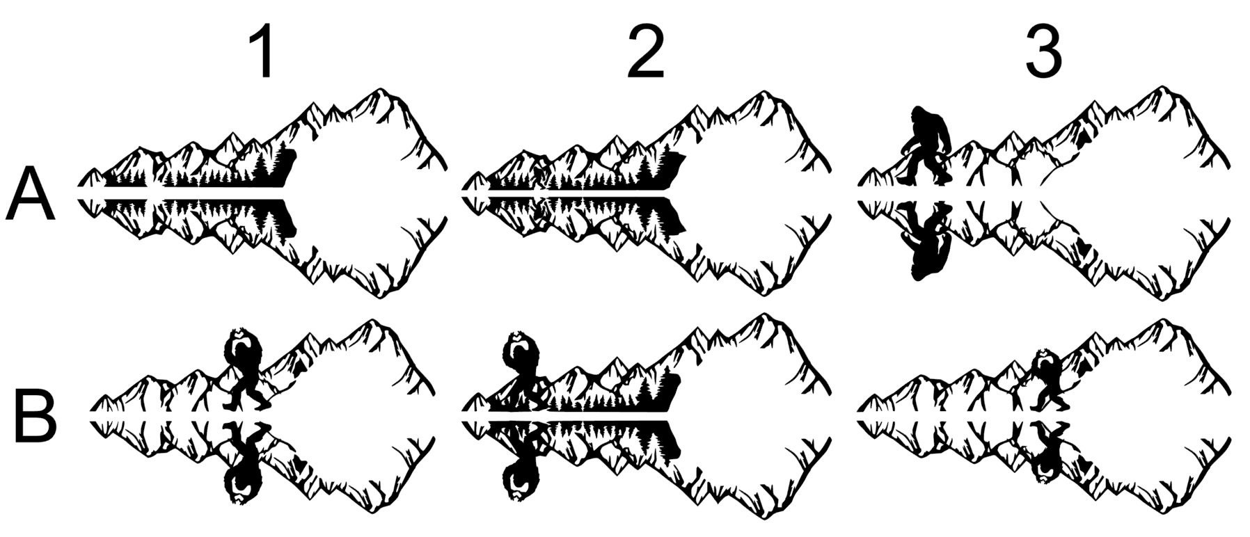 Shop — Bwb Creation