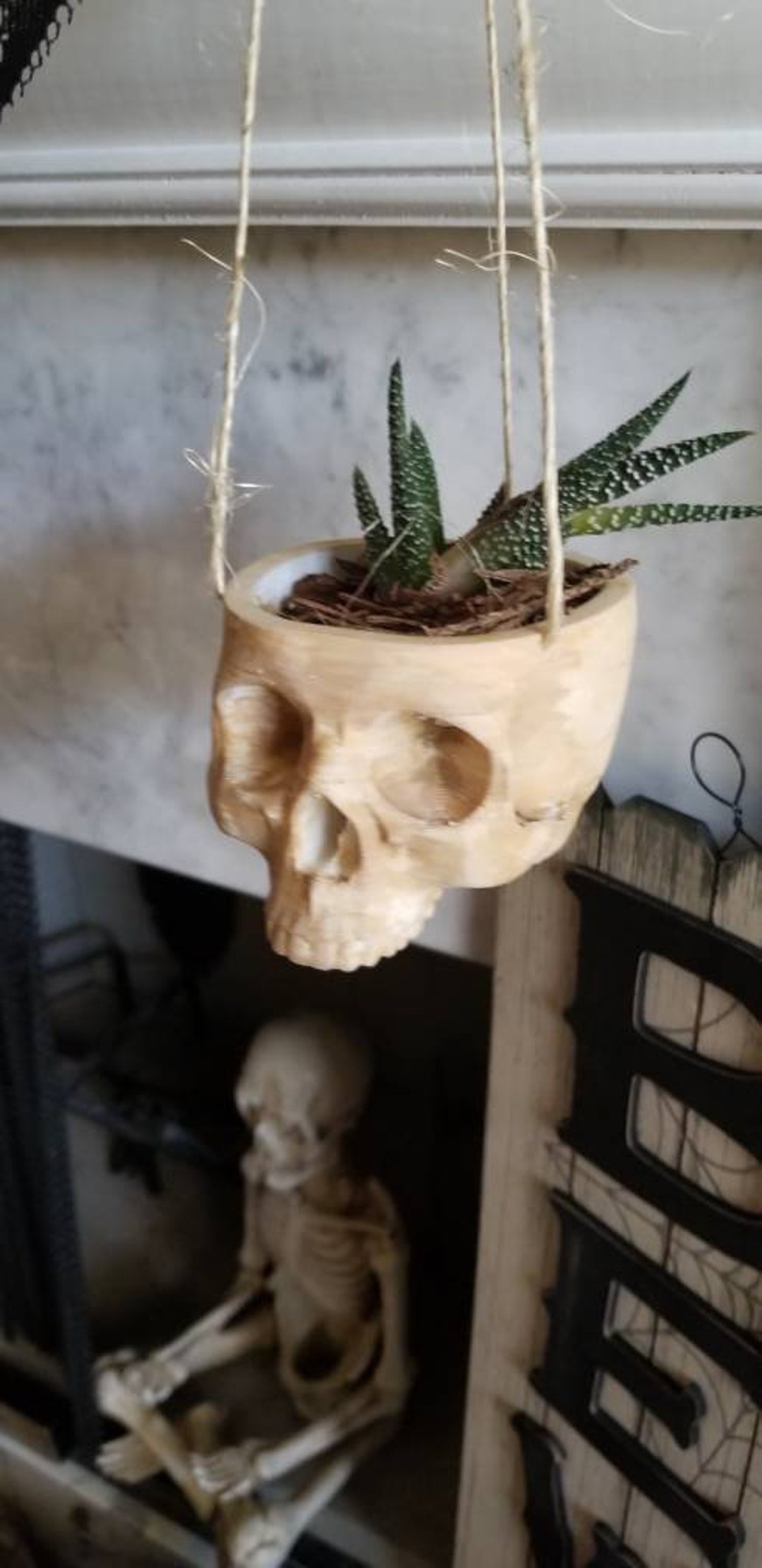 Skull Hanging Planter for Indoor or Outdoor Succulent or Small Plant ...