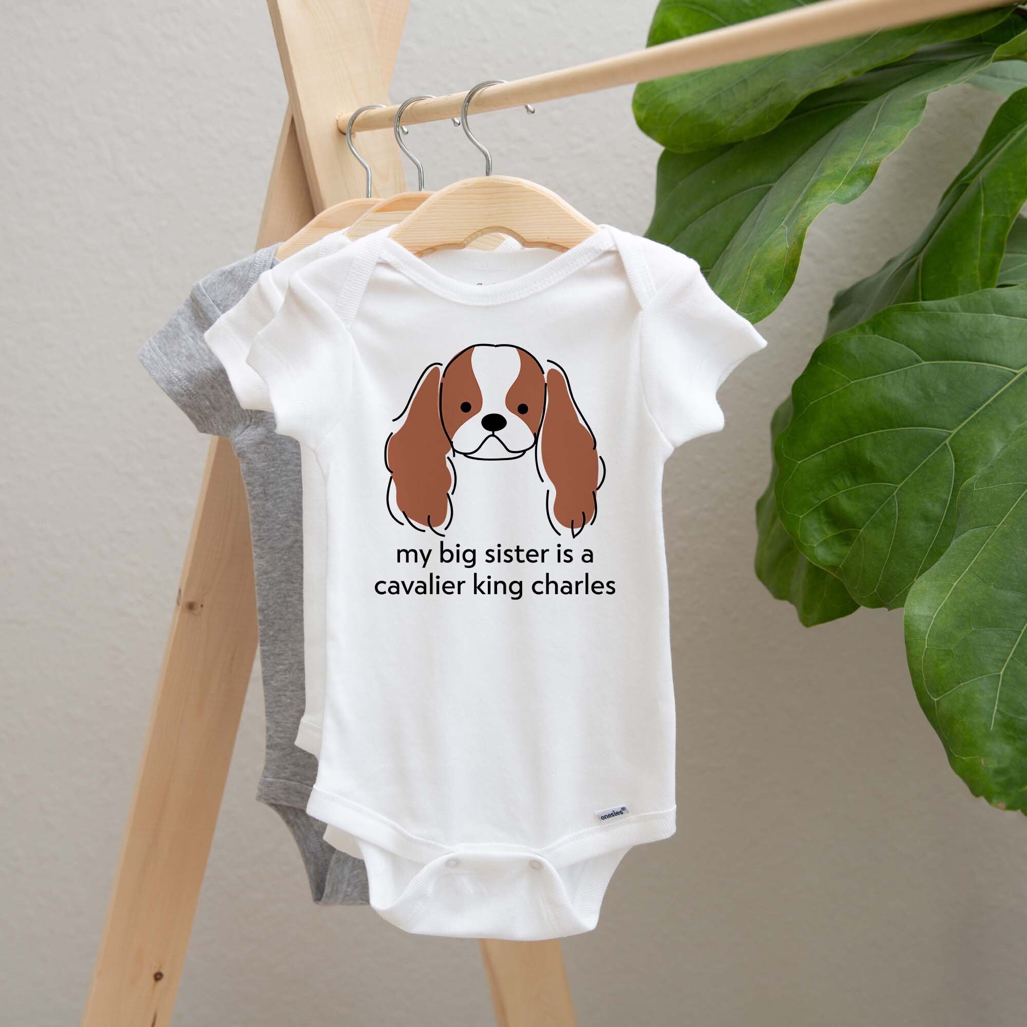 Newborn Cavalier King Charles Spaniel