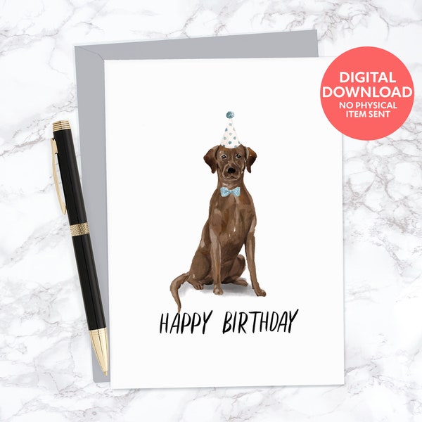 Chocolate Brown Labrador Birthday Card - Etsy